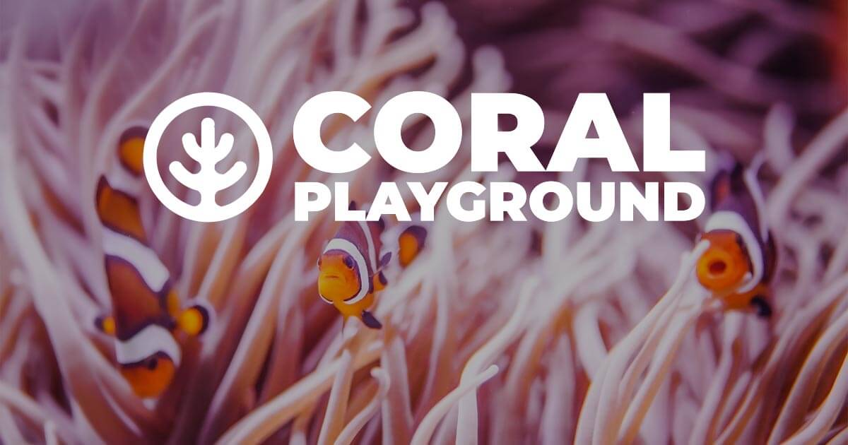 Coral Playground - Your Gateway to Red Sea Diving Adventures | Coral ...